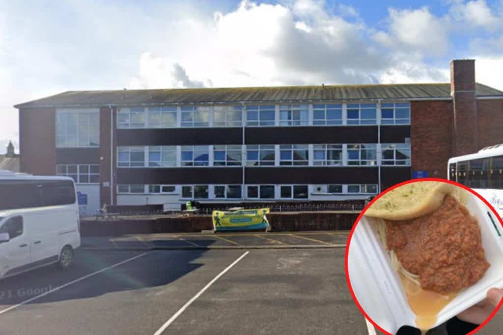 Joyce Watson MS | Mid & West Wales